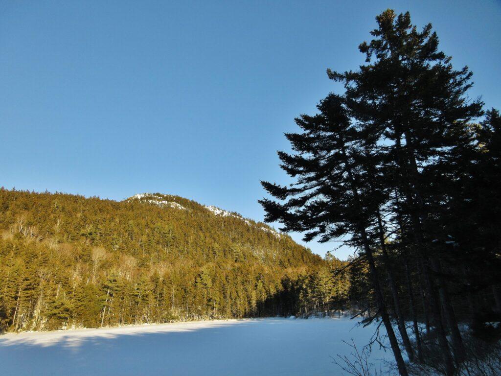 My Journey Through Winter - Wendy Weiger, MD, PhD